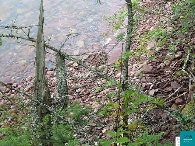 90570 Bark Point Rd, Herbster, WI 54844 | Zillow