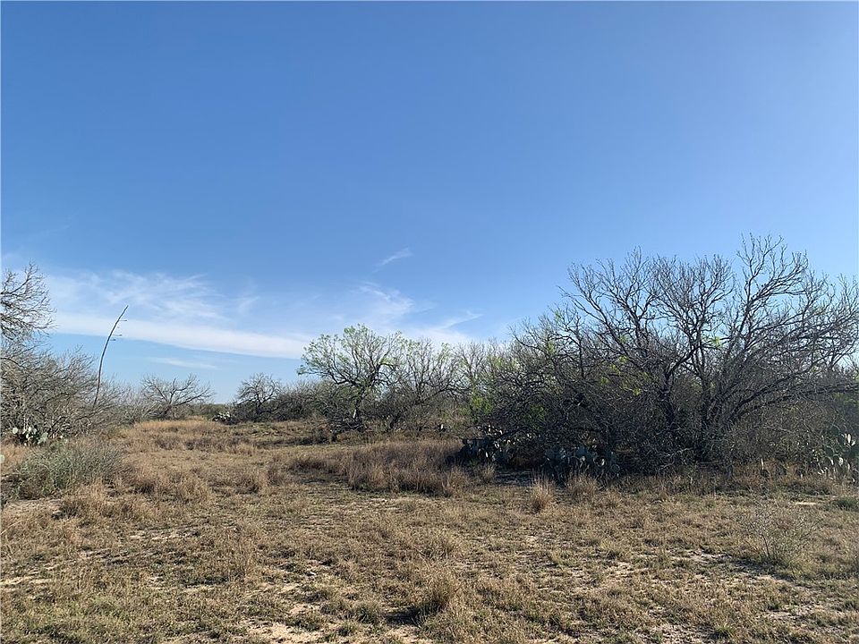 Freer, TX 78357 | MLS #414108 | Zillow