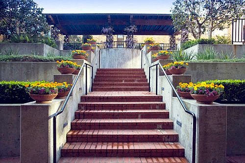 1550 Bay St APT B429, San Francisco, CA 94123 | Zillow