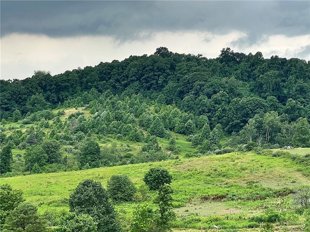 2222 Reed Rd, Mayport, PA 16240 | Zillow