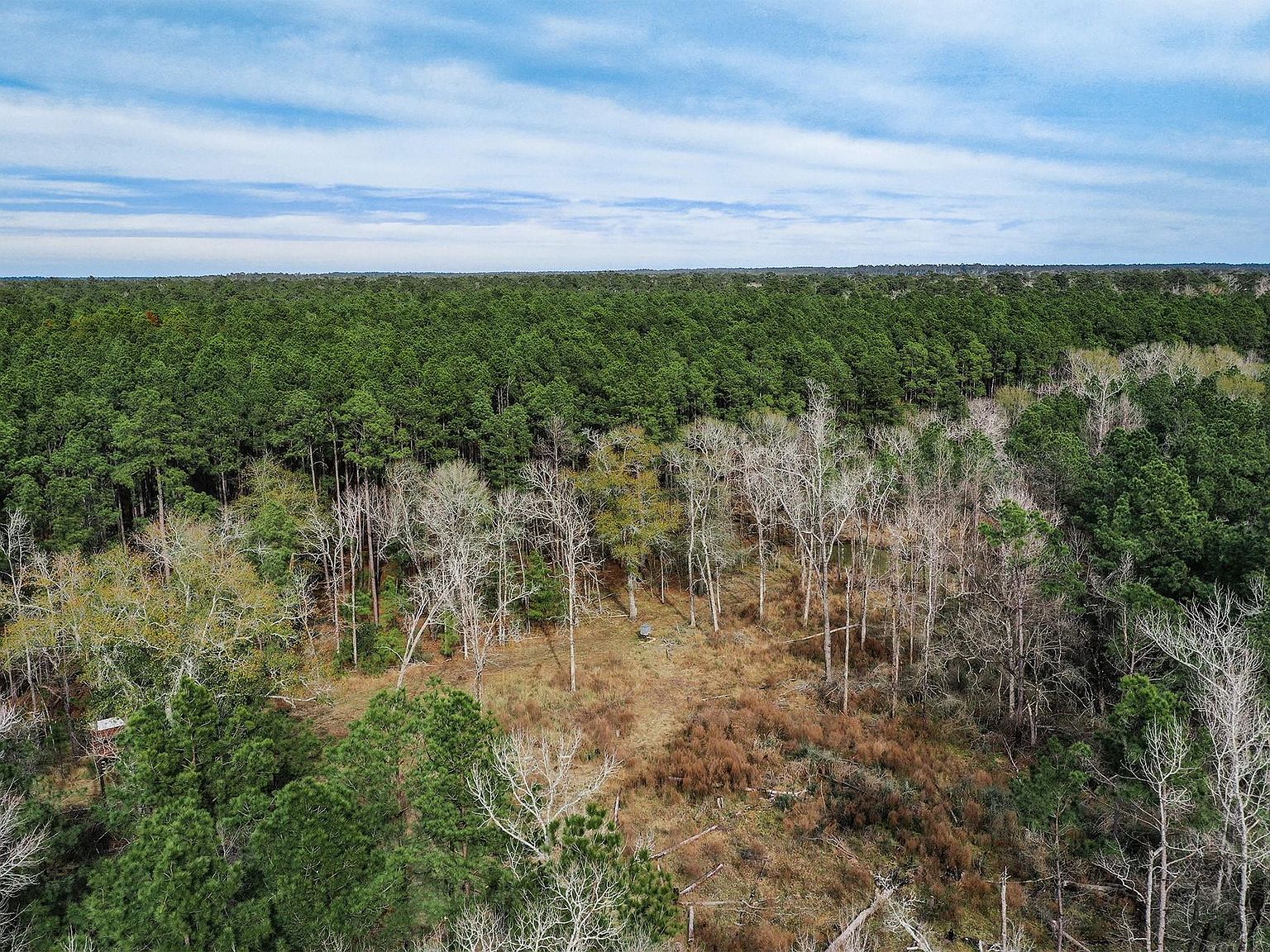 Reese Rd, Pennington, TX 75856 | MLS #69786617 | Zillow
