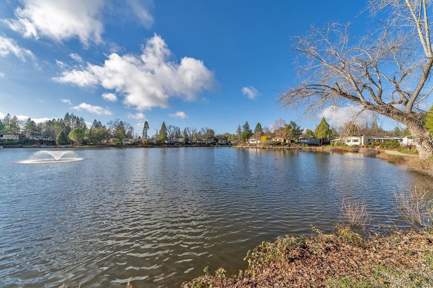 4390 Patterson Dr UNIT 228, Diamond Springs, CA 95619 | Zillow