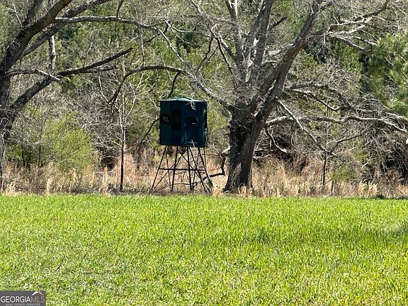 Carl Mathis Rd, Talbotton, GA 31827 | MLS #10490147 | Zillow