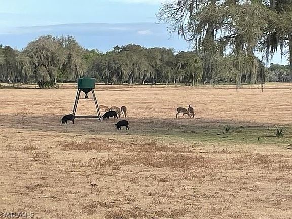 Roberts Ranch Rd, Clewiston, FL 33440 | MLS #224016810 | Zillow