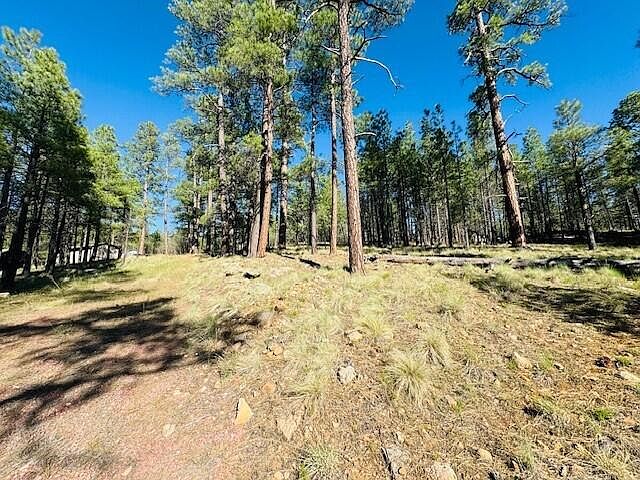 2549 Pine Valley Rd, Happy Jack, AZ 86024 | MLS #91372 | Zillow