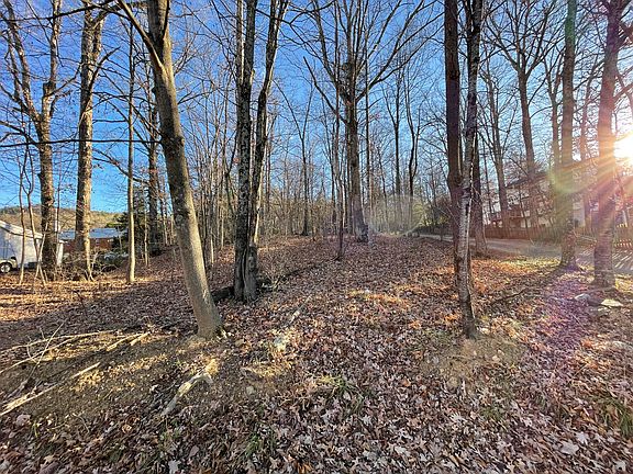 0 Buck Mountain Rd #B, Roanoke, VA 24018 | MLS #903545 | Zillow