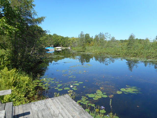 W17994 Long Point Rd, Germfask, MI 49836 | Zillow