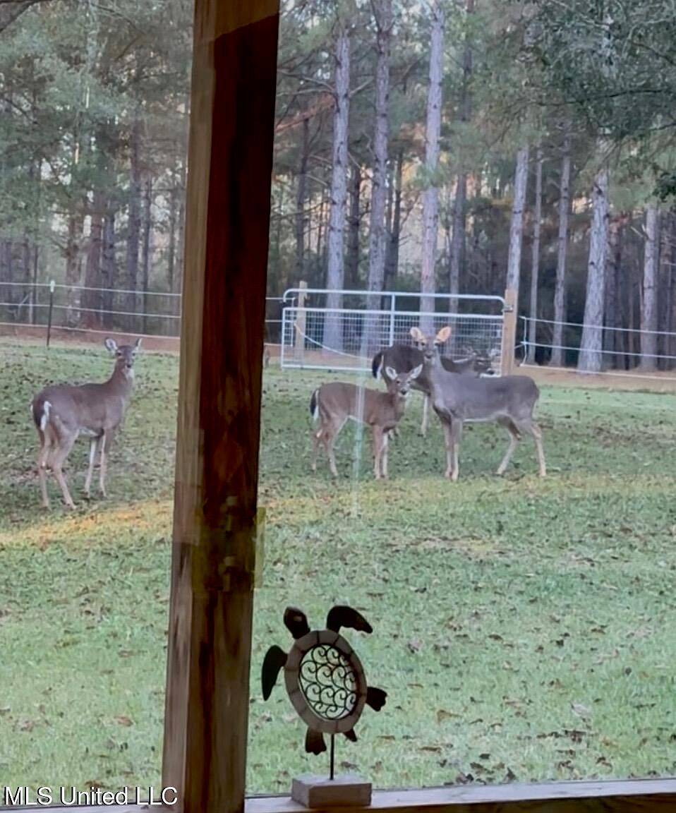 121 American Sand And Gravel Rd, Poplarville, MS 39470 | MLS #4089249 ...