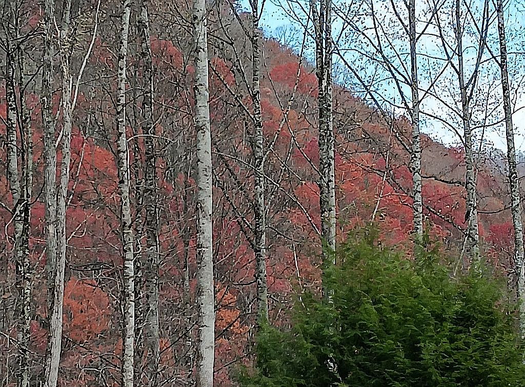 111 Donnie Cochran Rd, Bryson City, NC 28713 | Zillow