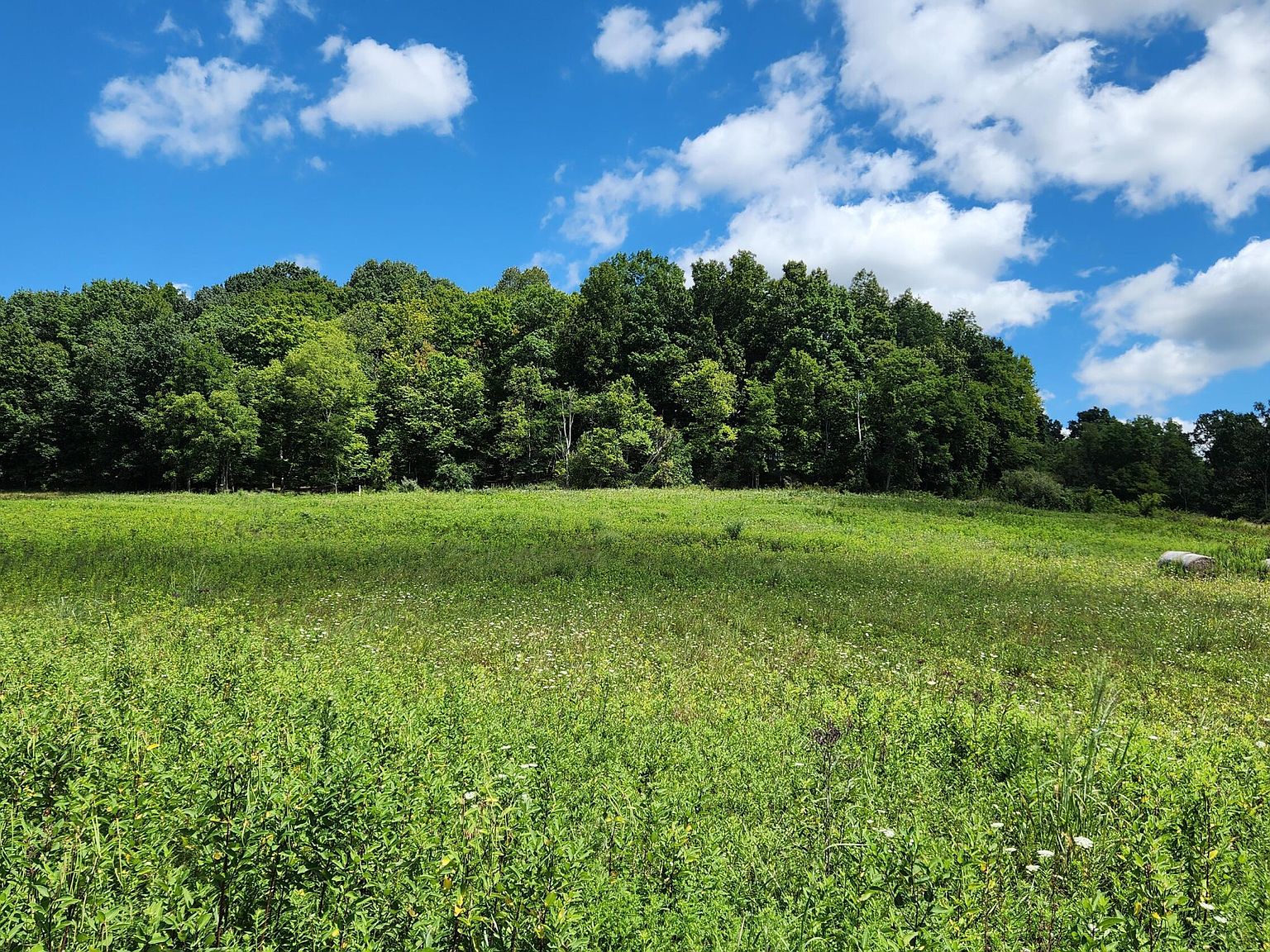 34978 State Route 681 Rd TRACT 17, Albany, OH 45710 | MLS #224036471 ...