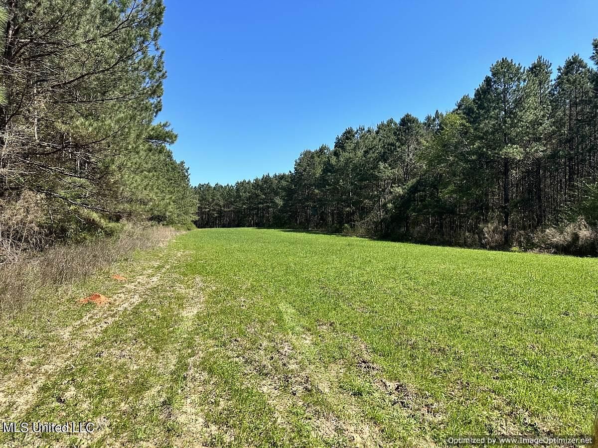 Crossroads Rd, Decatur, MS 39327 | MLS #4072064 | Zillow