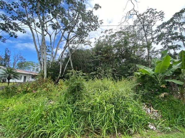 Pahoa HI Land & Lots For Sale - 329 Listings | Zillow