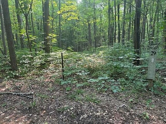 29 Camp Madron Rd, Buchanan, MI 49107 | MLS #23026772 | Zillow