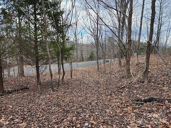 48 Peseco Dr, Bostic, NC 28018 | MLS #4111557 | Zillow