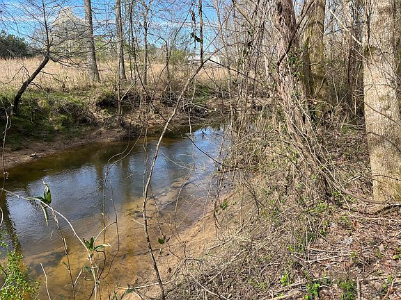 1480 County Road 814, Higdon, AL 35979 | MLS #1381713 | Zillow