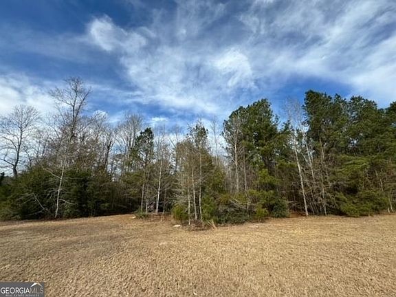 0 Aimwell Rd, Vidalia, GA 30474 | MLS #20168005 | Zillow