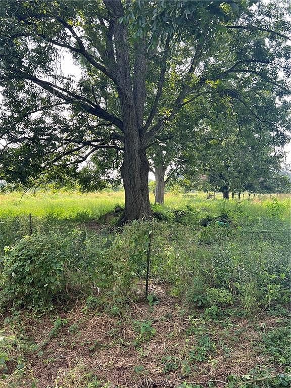 1835 Highway 495 #3, Cloutierville, LA 71416 | Zillow