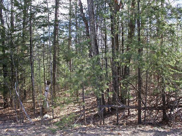 Meta Lake Rd LOT 6, Eagle River, WI 54521 | Zillow