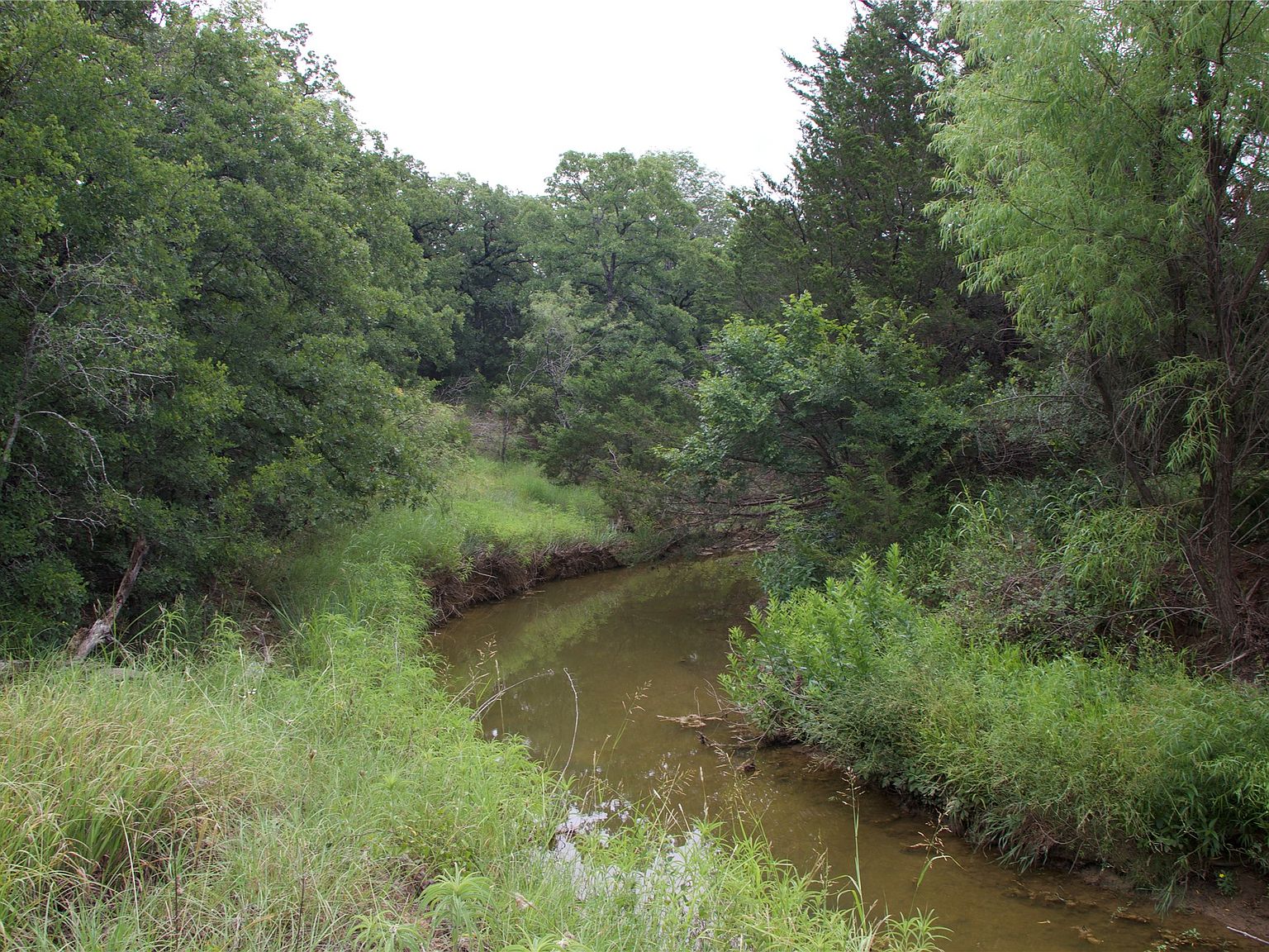 1309 County Road 1895, Sunset, TX 76270 | MLS #20986864 | Zillow