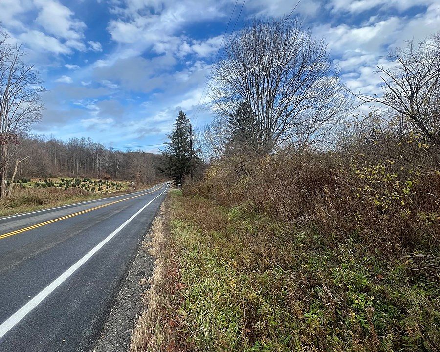 0 State Highway 12, Sherburne, NY 13460 | MLS #31087-08568 | Zillow