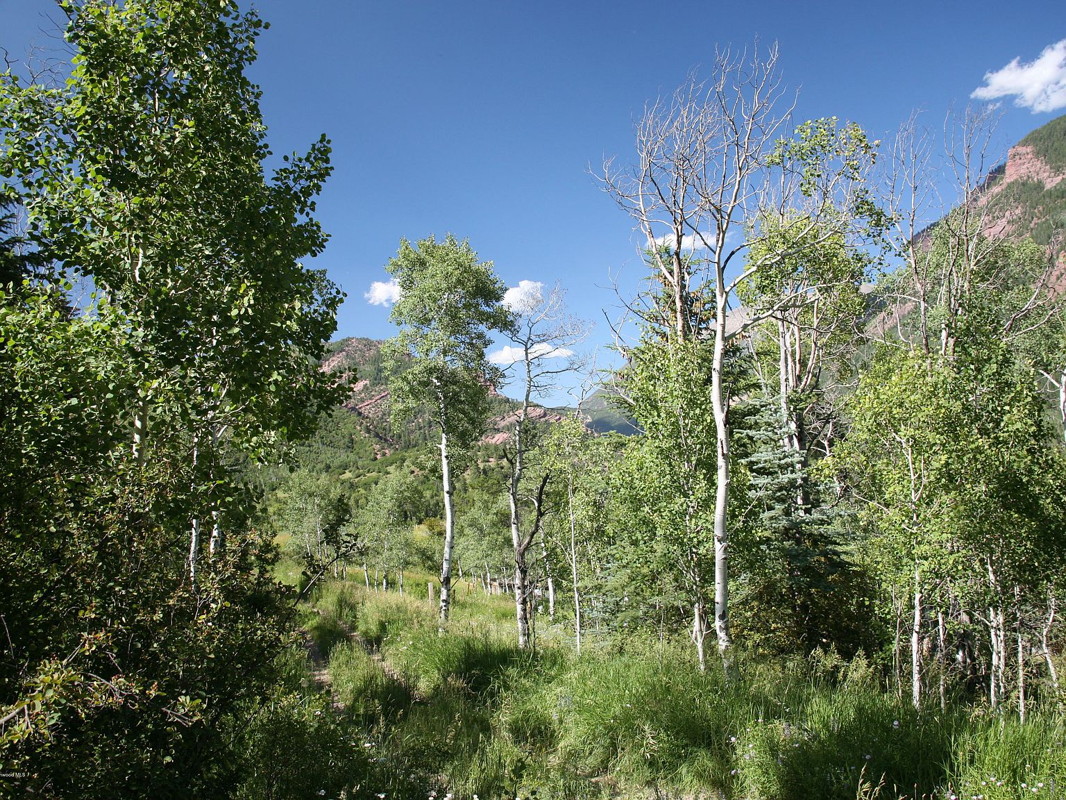 Tbd Elk Mountain Dr, Redstone, CO 81623 | Zillow