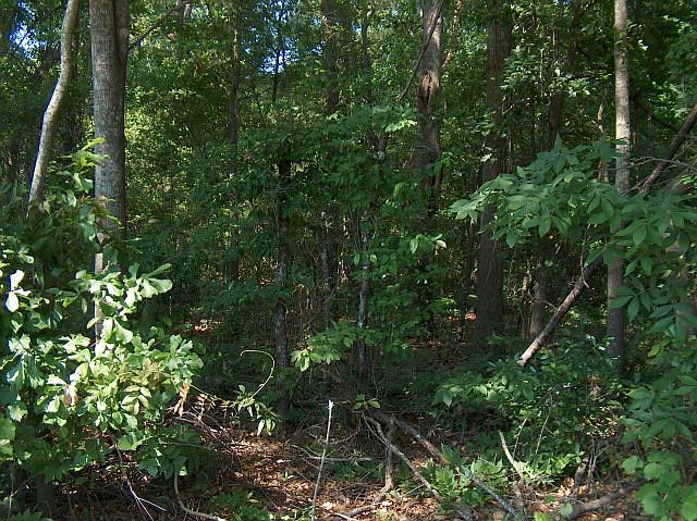 1450 Cherryvale Dr, Sumter, SC 29154 | Zillow