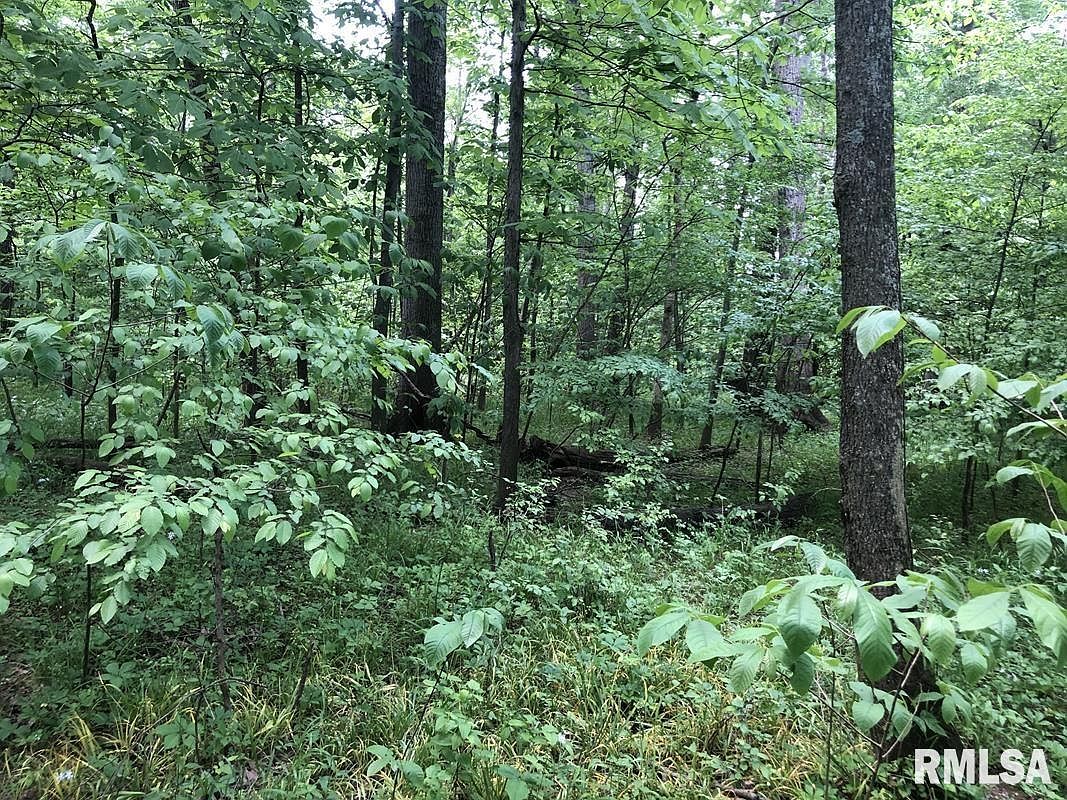 0 Blacklock Rd, Vergennes, IL 62994 | Zillow