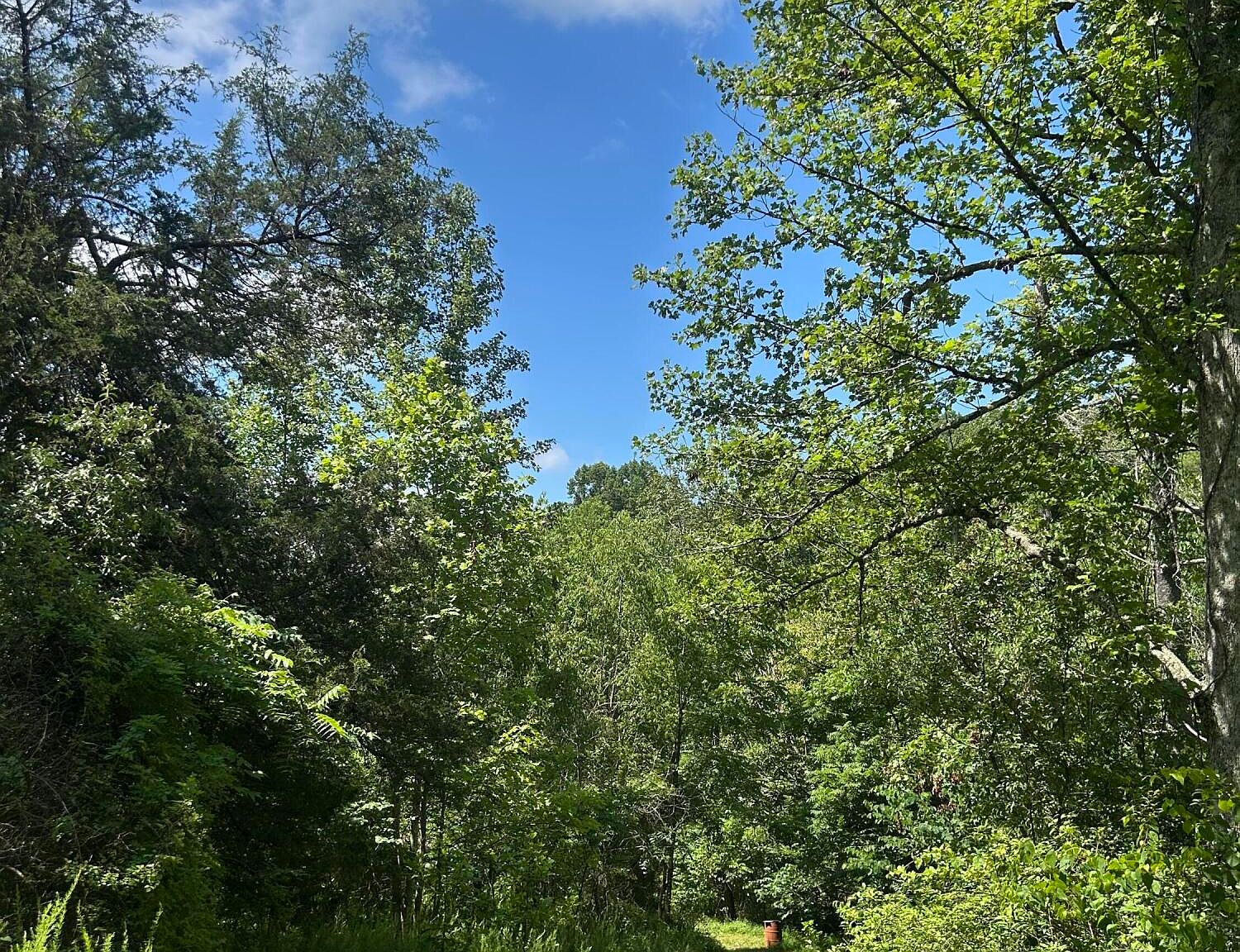 139 Dorsey Tolson Rd, Campton, KY 41301 | MLS #25014479 | Zillow