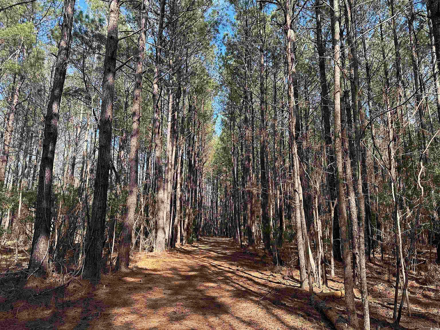 TBD Union Church Rd., Salters, SC 29590 | MLS #2513491 | Zillow