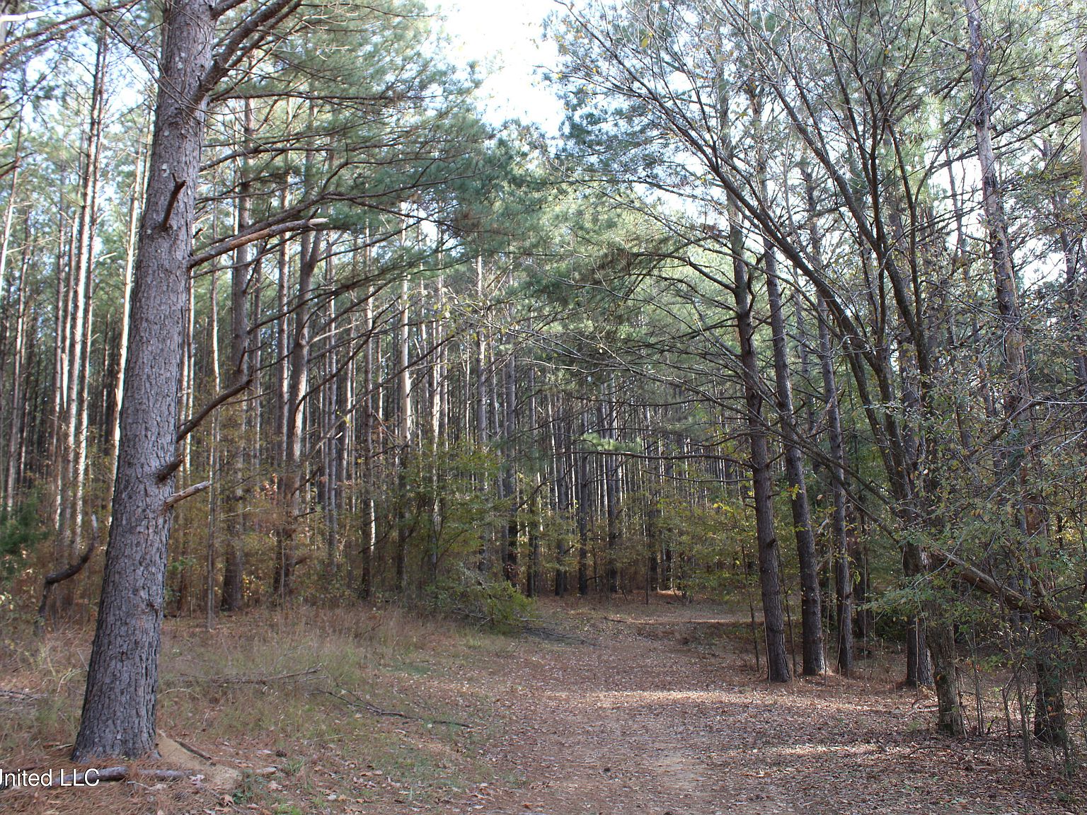 2602 S Slayden Rd, Lamar, MS 38642 | MLS #4098351 | Zillow