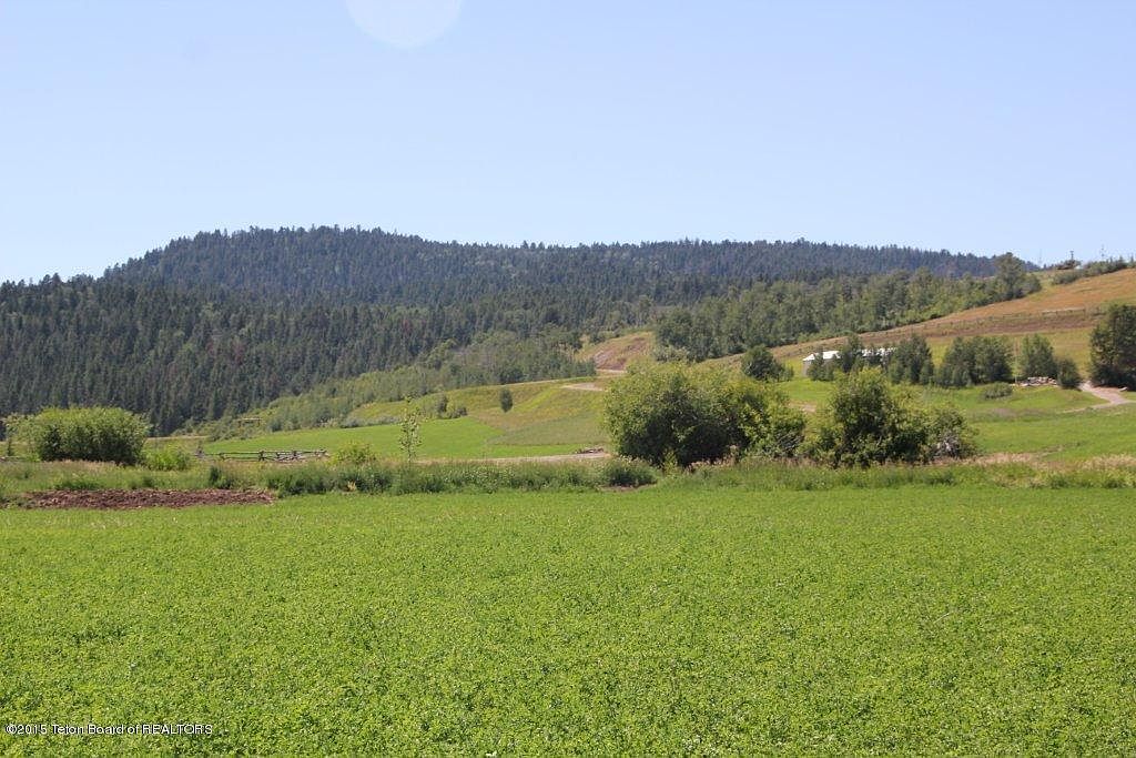 34 Chipmunk, Freedom, WY 83120 | Zillow