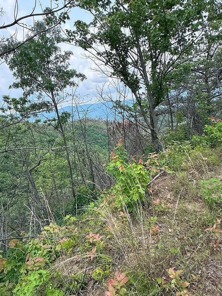 Bolden Branch Rd, Andrews, NC 28901 | MLS #153052 | Zillow