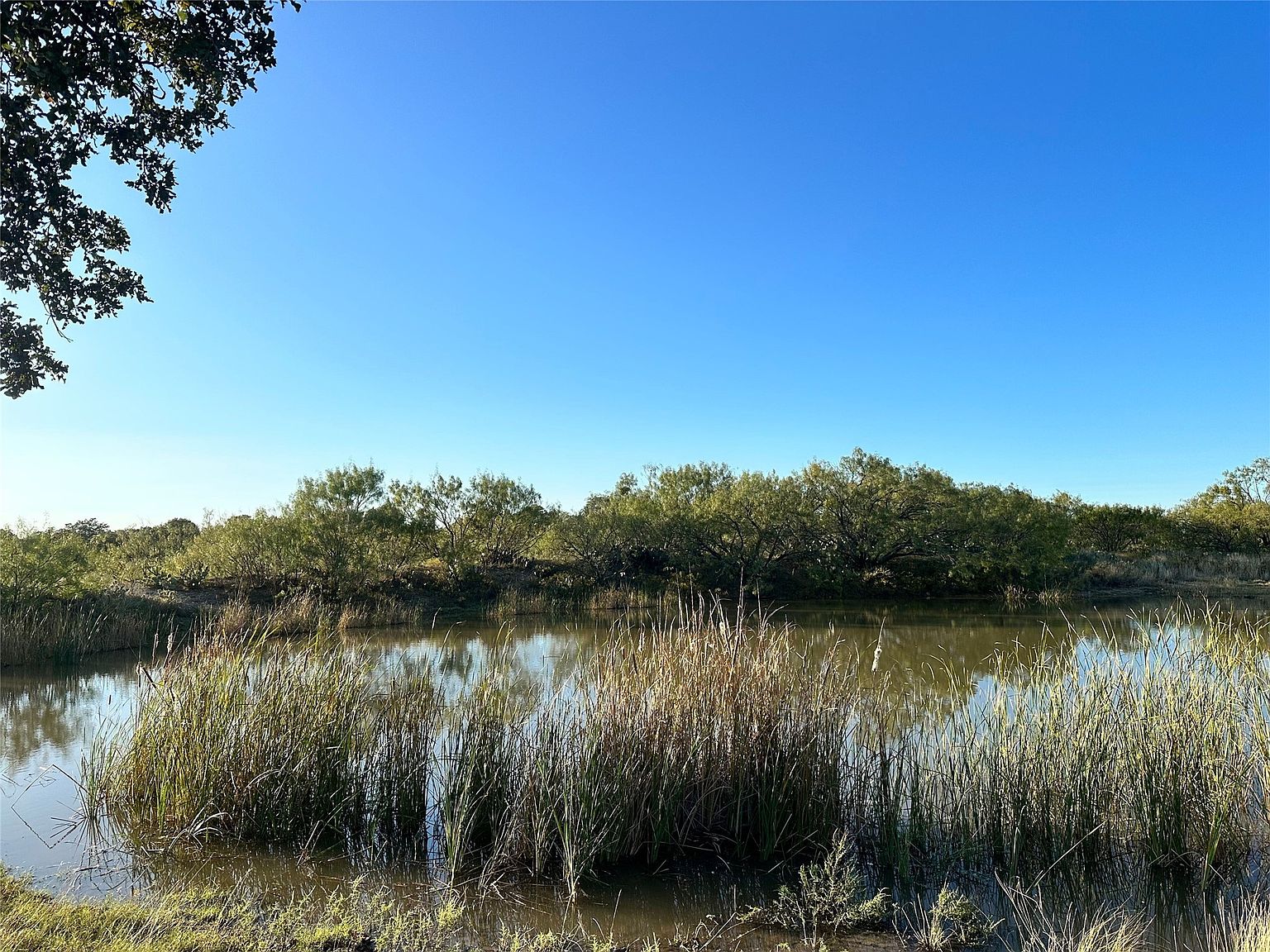 4525 County Road 415, Cisco, TX 76437 | MLS #20775255 | Zillow