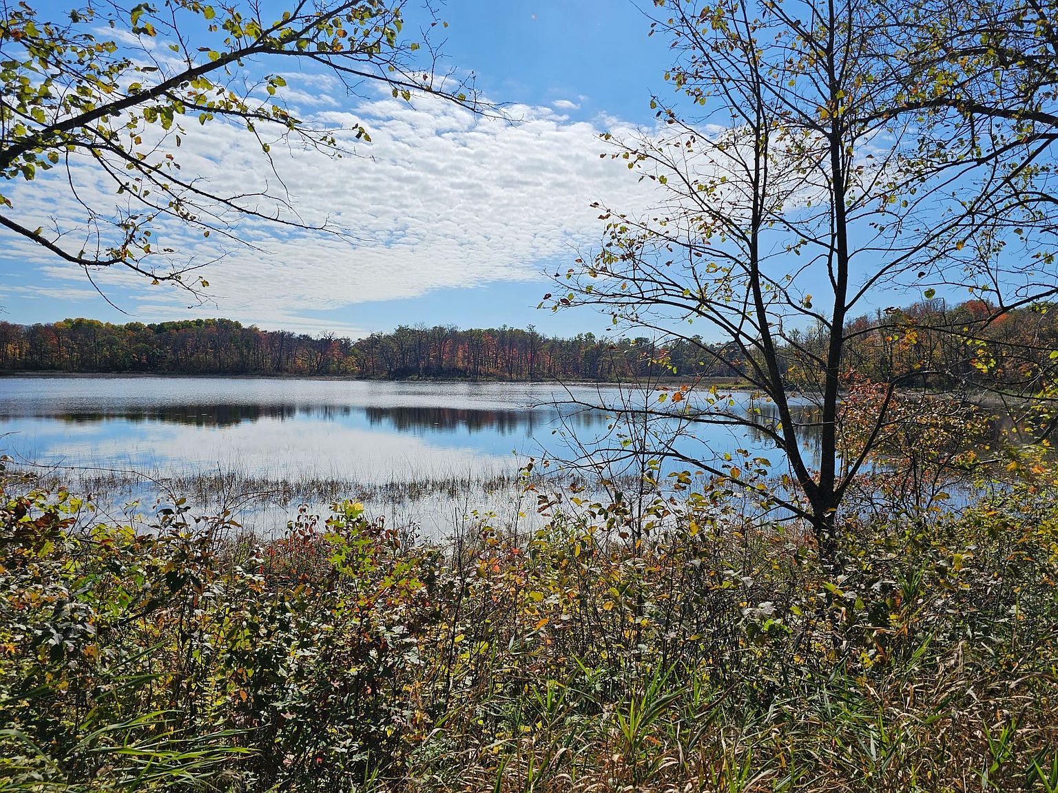 350XX 220th Ave, Erhard, MN 56534 | Zillow