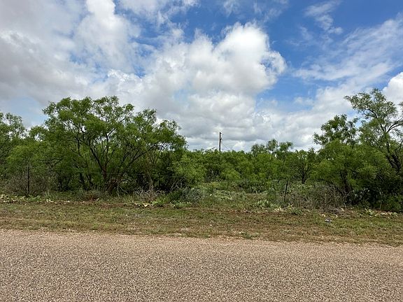 11031 Mount Nebo Rd #11005-10979, San Angelo, TX 76901 | MLS #113056 ...