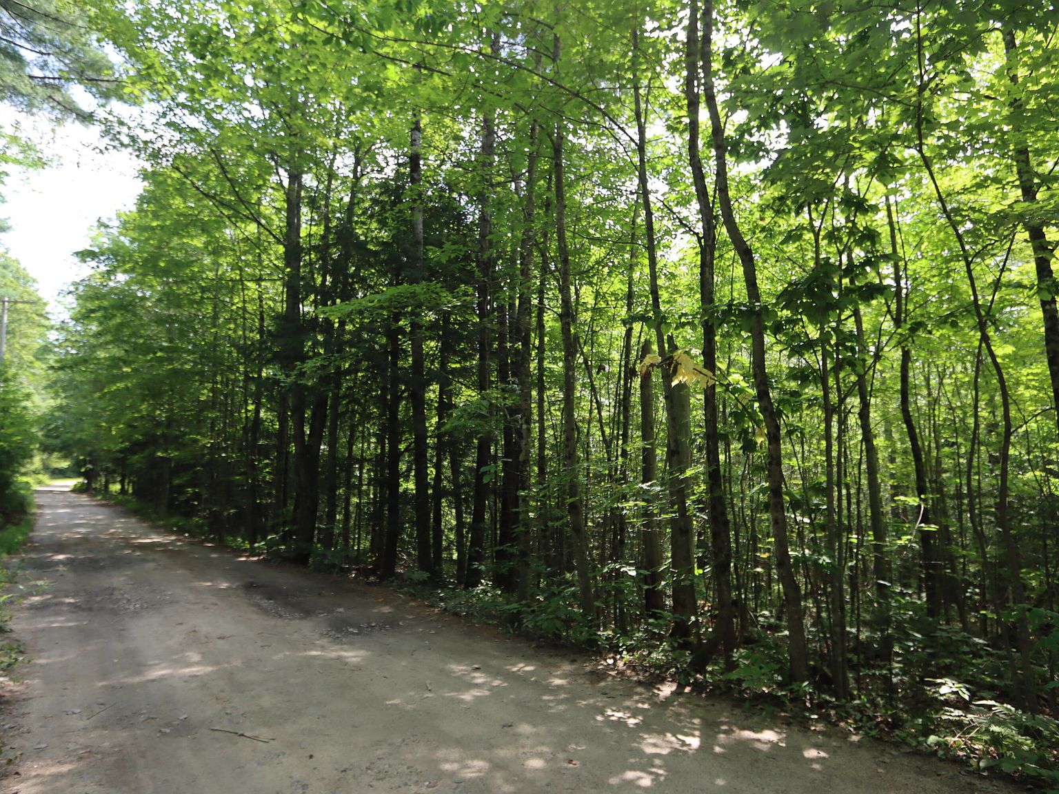 Lot 16D Old Towle Road, Dixfield, ME 04224 | Zillow