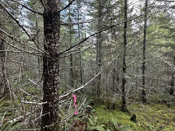 Row River Rd, Dorena, OR 97434 | MLS #11476402 | Zillow