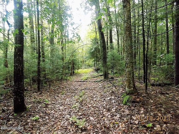 0 Flintstone Rd, Windsor, MA 01270 | MLS #241291 | Zillow