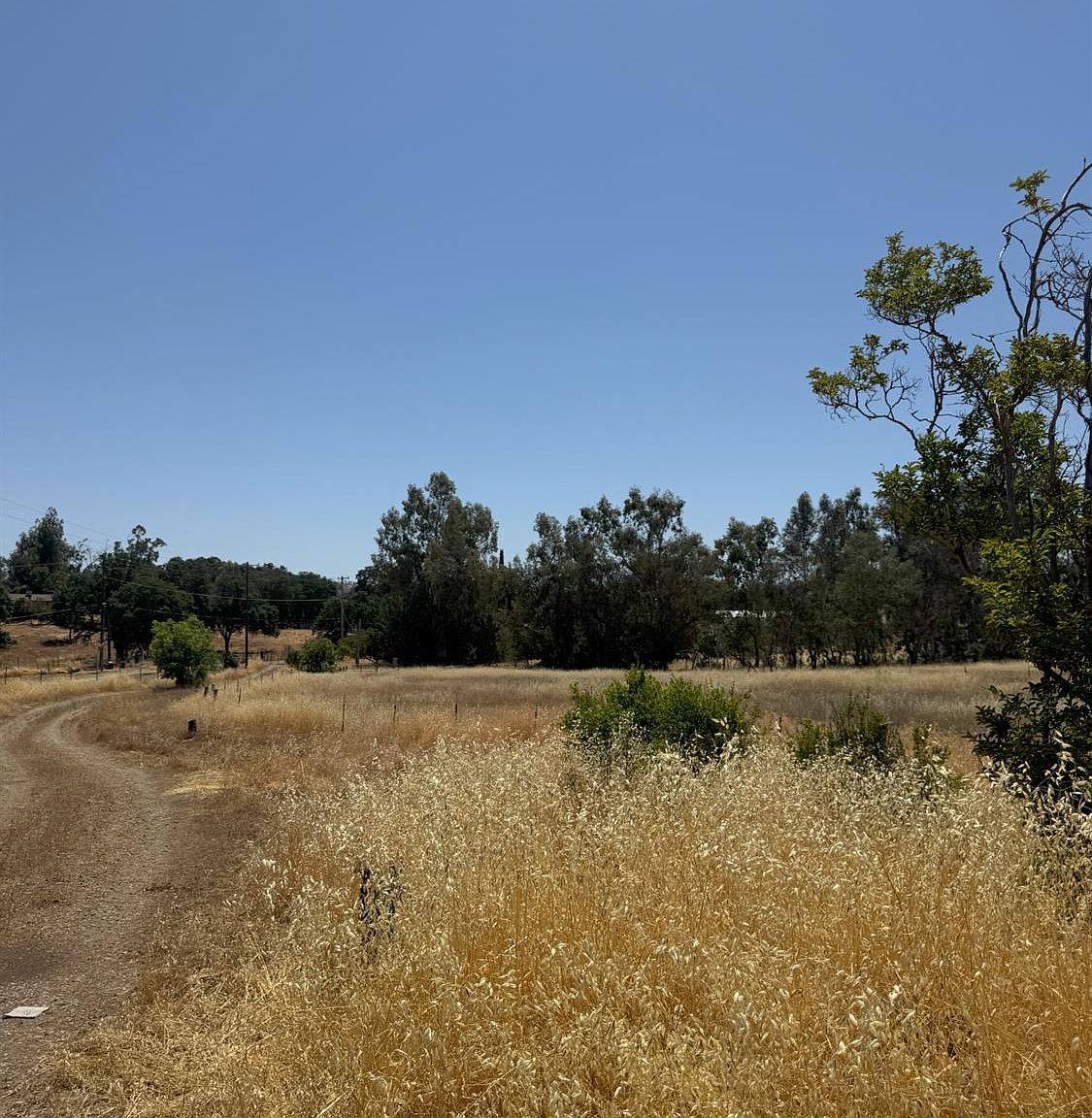 30518 George Smith Rd, Squaw Valley, CA 93675 | MLS #632868 | Zillow