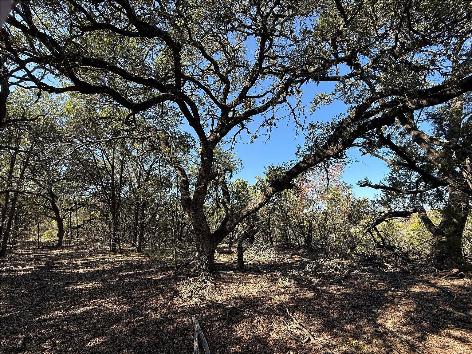 221 Ranch House Rd, Wimberley, TX 78676 | MLS #8149982 | Zillow