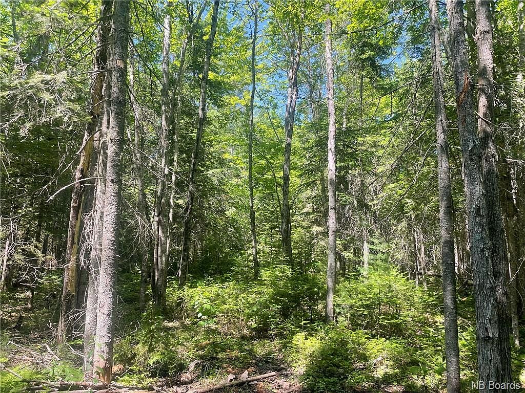 4 Cox Point Rd LOT 24, Waterborough, NB E4A 2W9 | MLS #NB098629 | Zillow