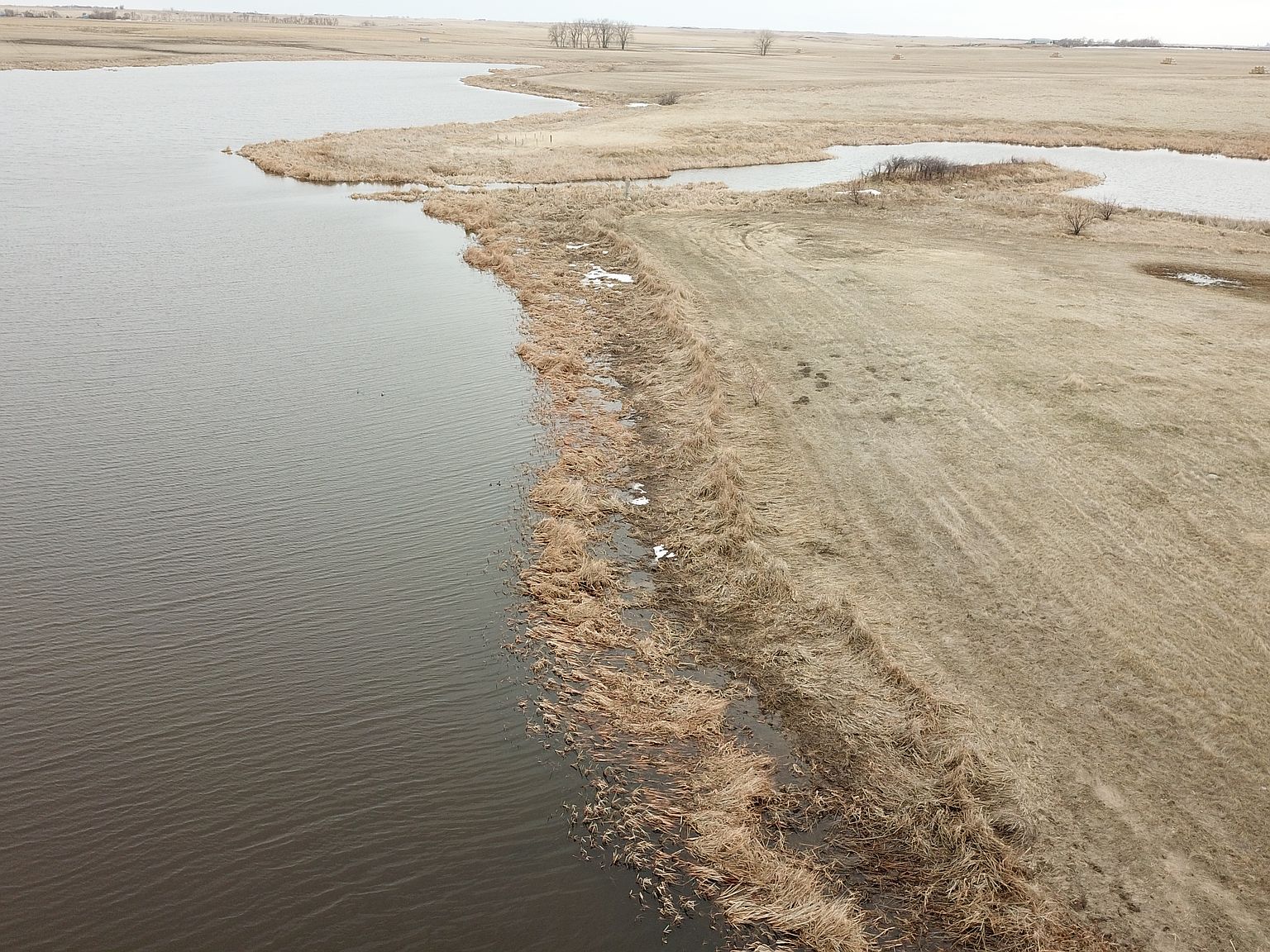 Pastureland, Java, SD 57452 | Zillow