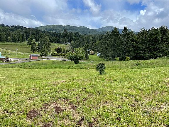 Bugle Loop Elk Meadow Subdivision #40, Oakridge, OR 97463 | Zillow