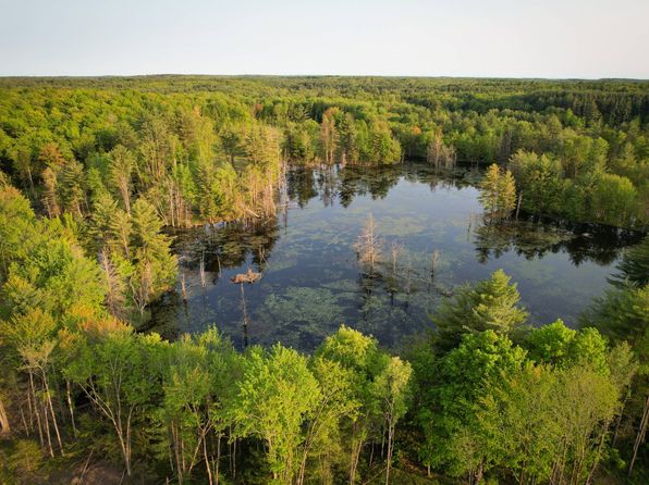 Altmar NY Real Estate - Altmar NY Homes For Sale | Zillow