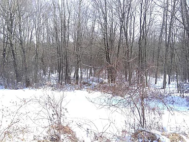 525 Swamp Rd Fairfield VT | Zillow