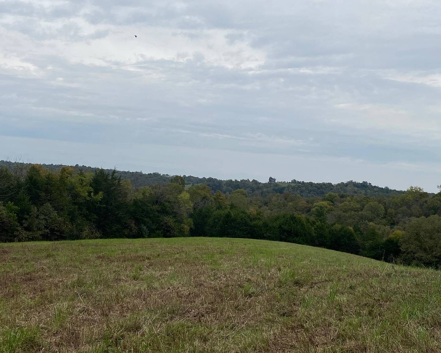 2221 Manton Rd, Loretto, KY 40037 | Zillow