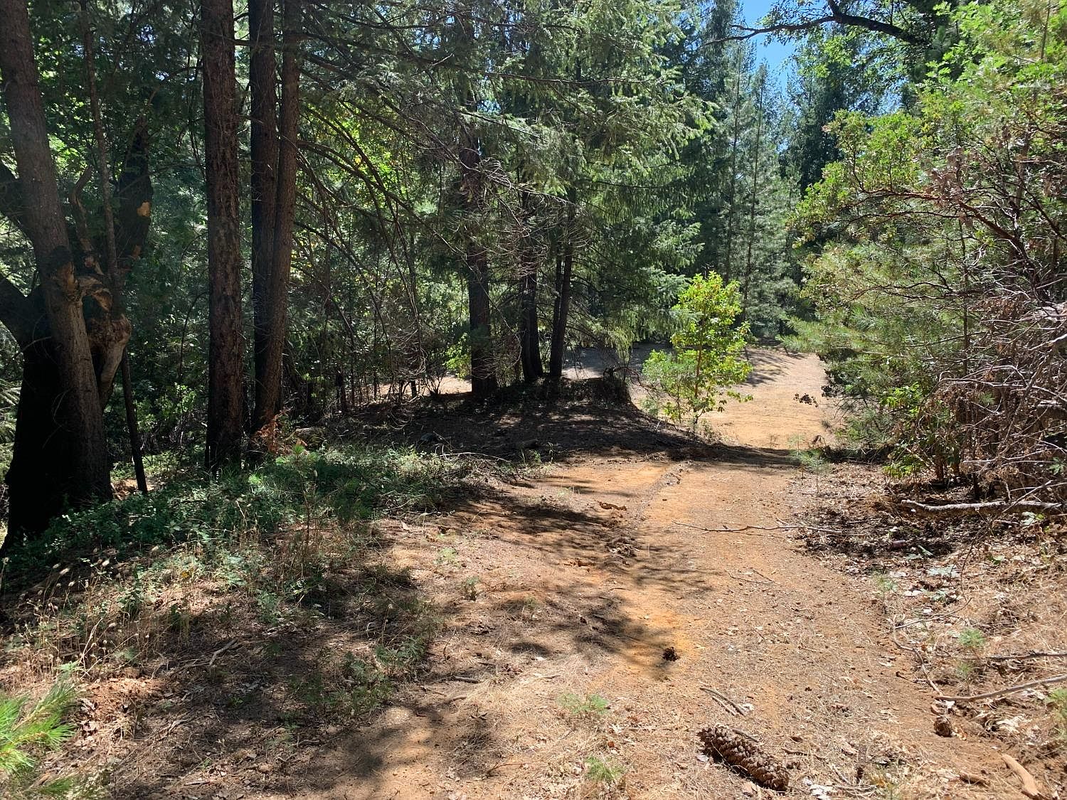 5088 Clear Creek Rd, Placerville, CA 95667 | Zillow