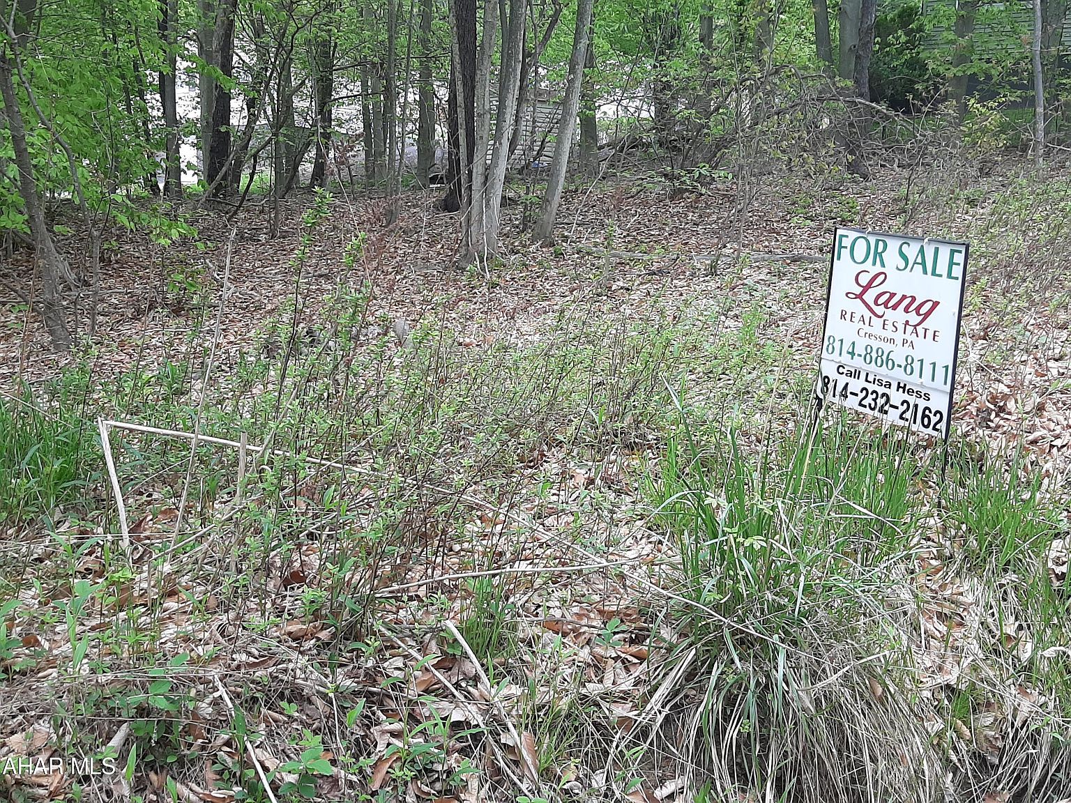 0 Cambria St, Lilly, PA 15938 | MLS #74777 | Zillow