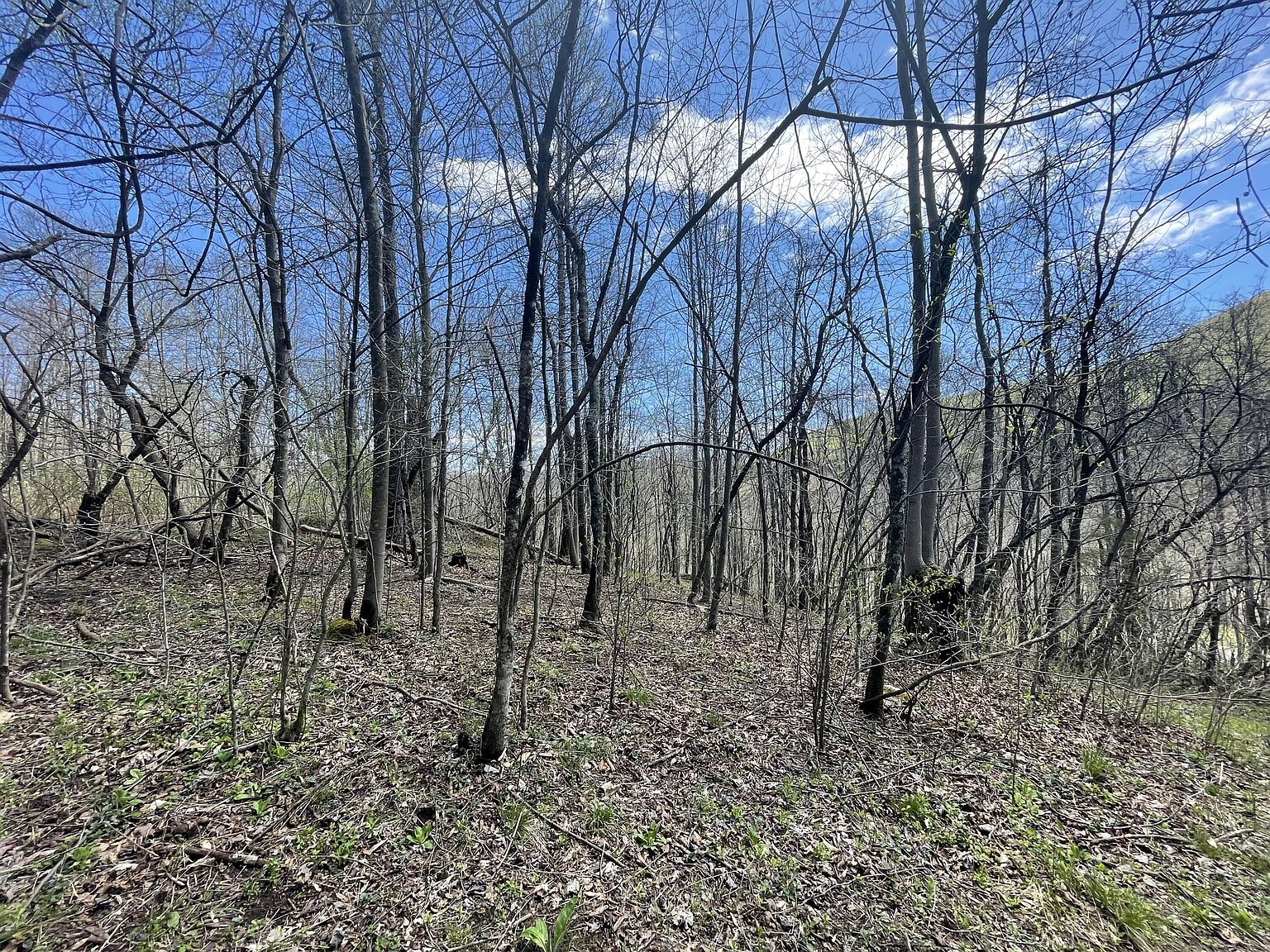 9999 Moores Creek Rd, Fourmile, KY 40939 | Zillow