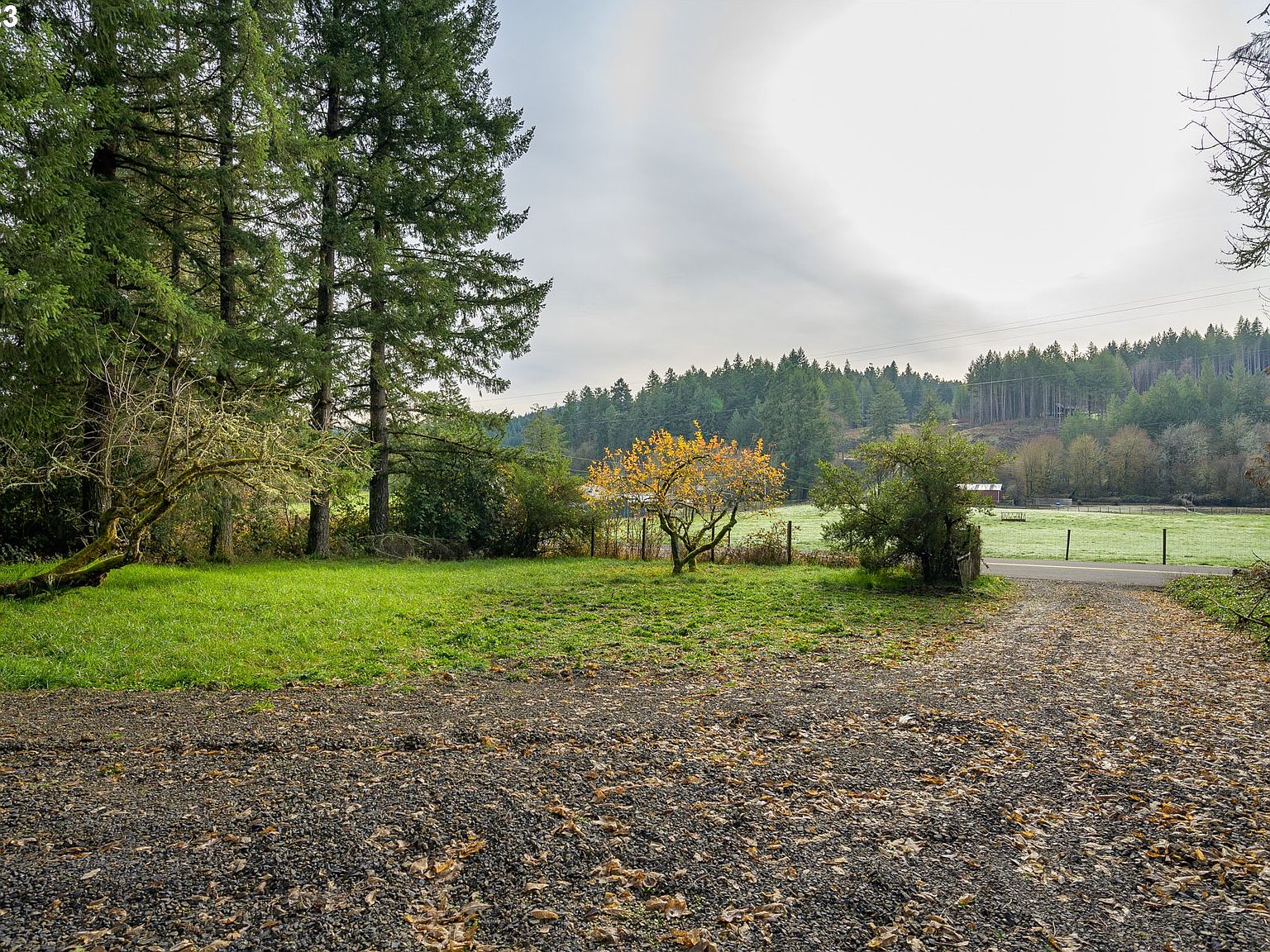 16600 NW Panther Creek Rd, Carlton, OR 97111 | MLS #23281221 | Zillow